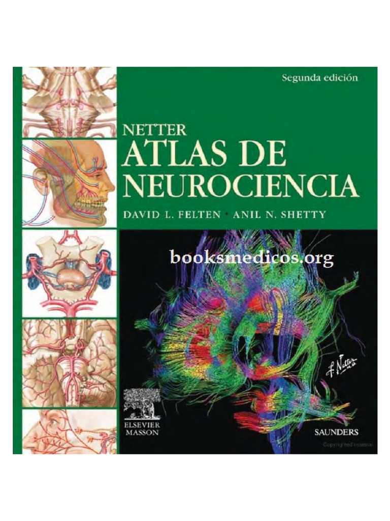 M1_U2 Atlas de Neurociencia - Capítulo 8 | PDF | Sistema nervioso | Nervio