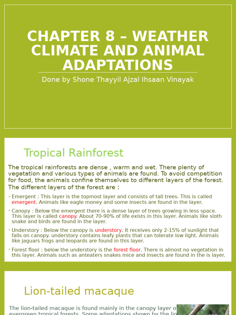 Chapter 8 – weather climate and animal adaptations | PDF | Rainforest ...