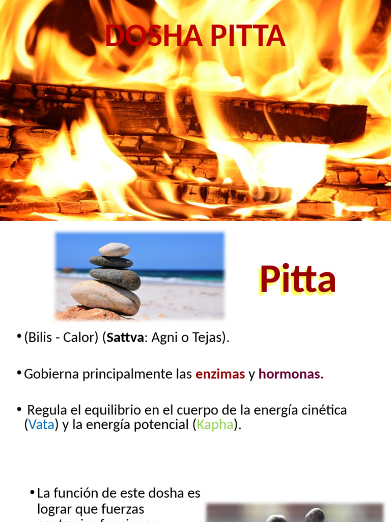 4. PITTA DOSHA | PDF | Digestión | Alimentos