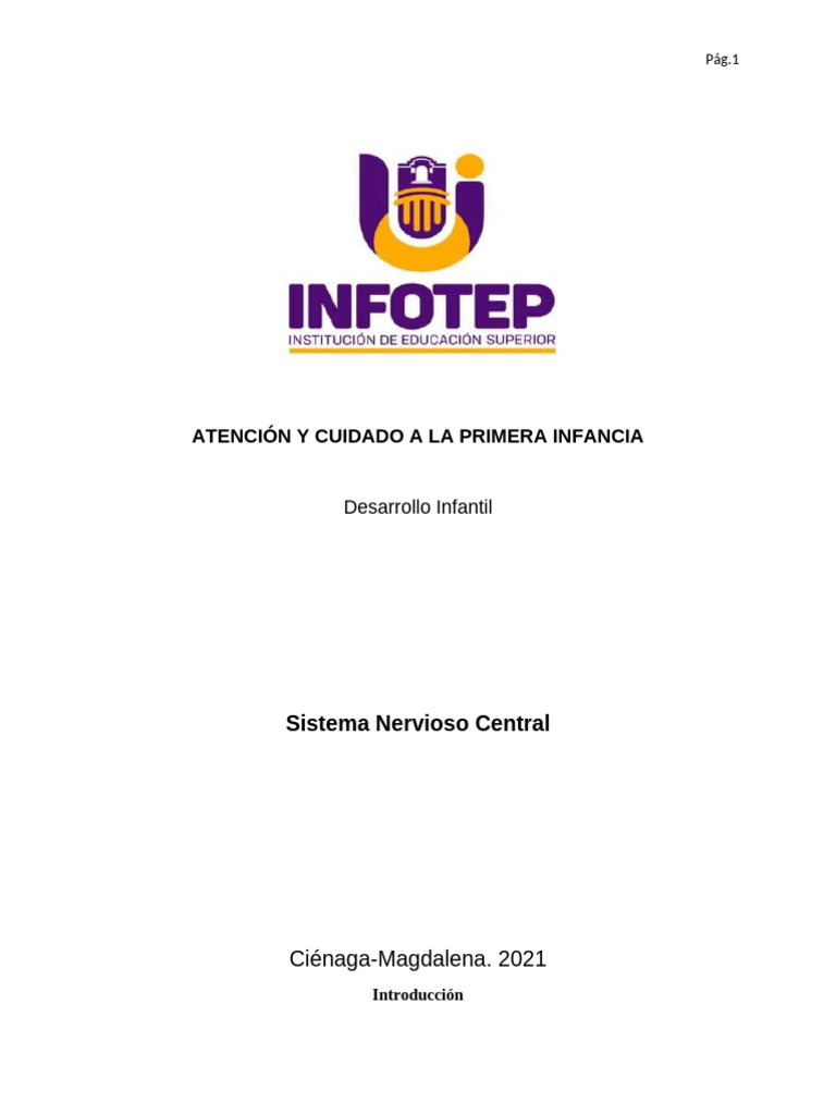 Infotep | PDF | Cerebro | Sistema nervioso