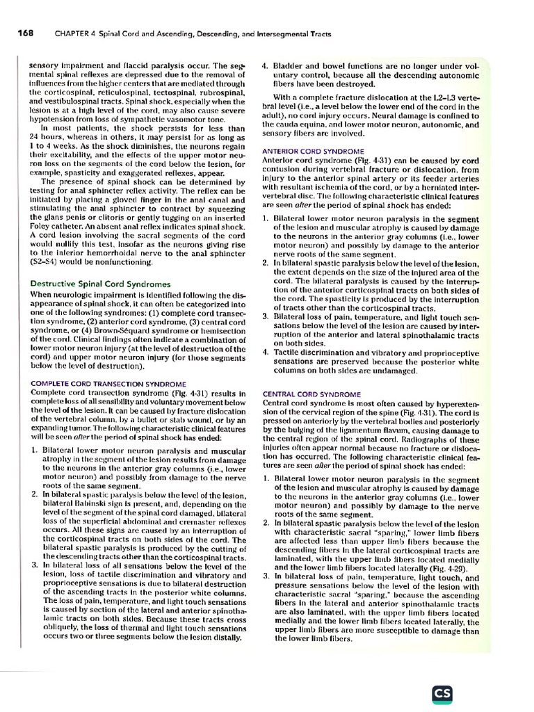 Complete Cord Section | PDF