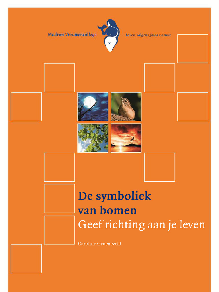 Les Modron Bomen | PDF