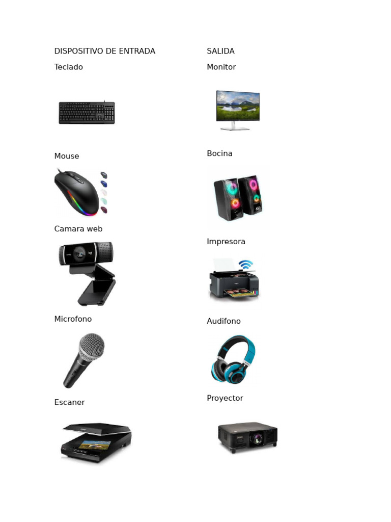 Dispositivos de Entrada y Salida | PDF