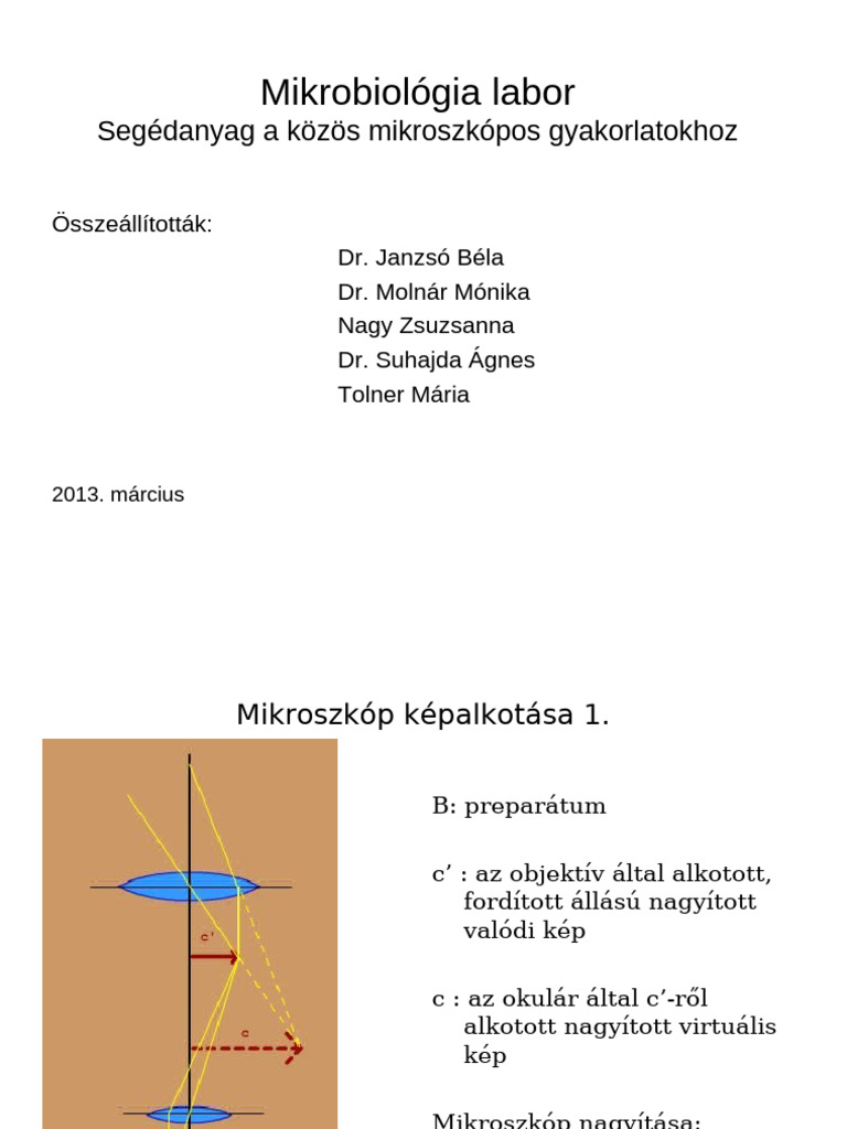 Mikroszkópos Gyak | PDF