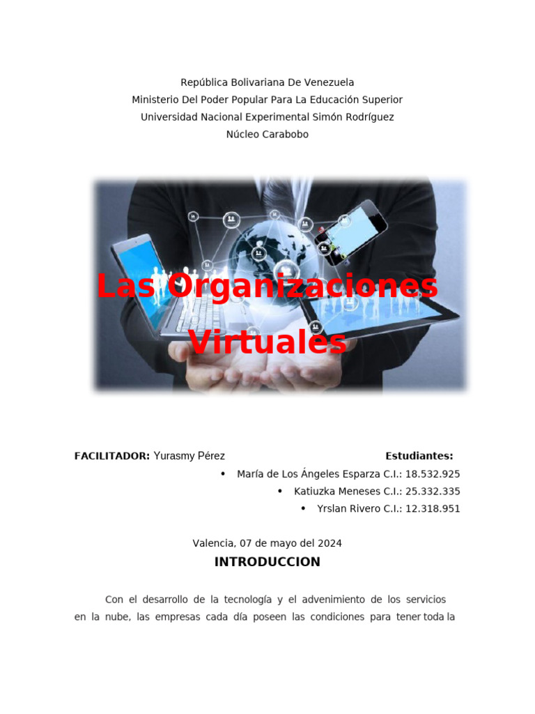 ORGANIZACION VIRTUAL1 | PDF | Business | Gestión de recursos humanos