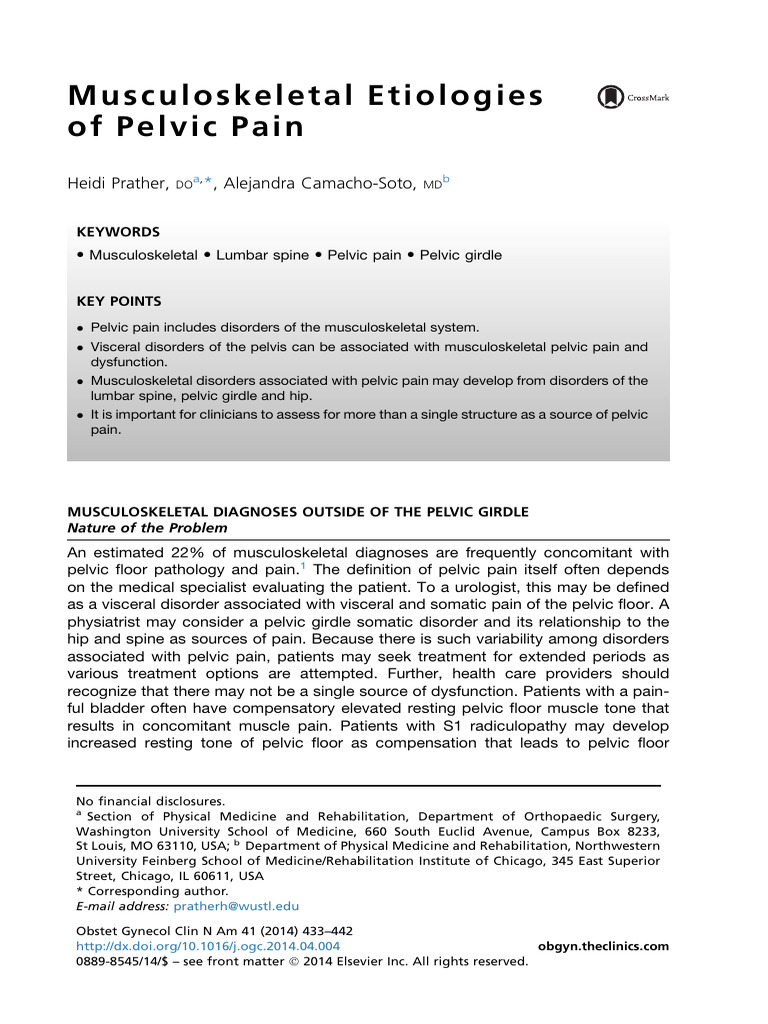 Musculoskeletal Causes of Pelvic Pain | PDF | Hip | Pelvis