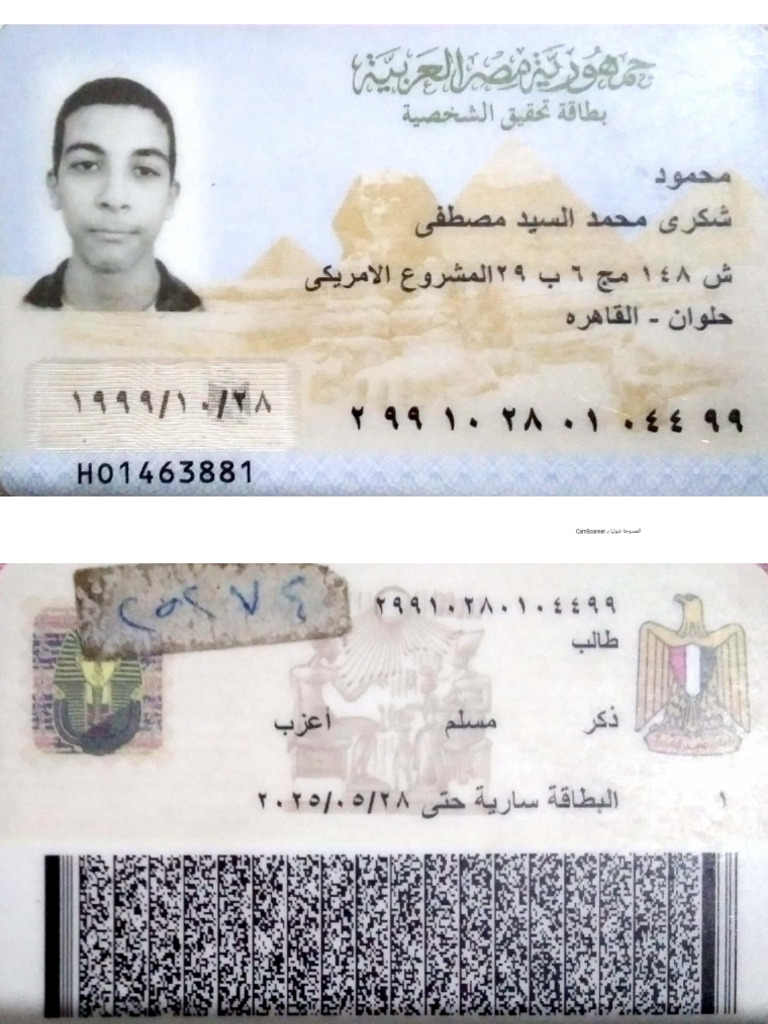 Mahmoud Shokri Mohammed | PDF