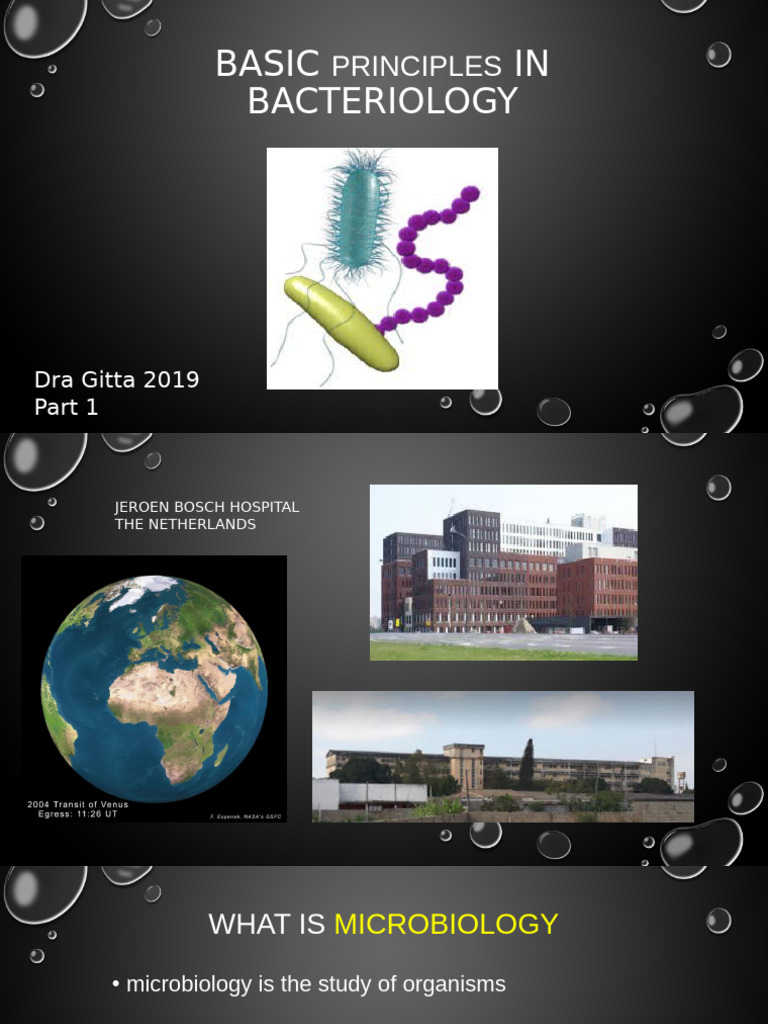 Basic Principles in Bacteriology Part 1 2019 | PDF | Ploidy | Bacteria