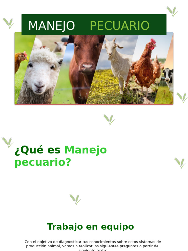 Manejo Pecuario en Comunidades Rurales | PDF | Animales y humanos | Ganado
