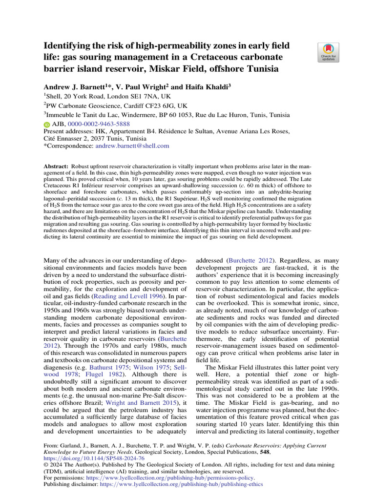 High-Permeability Zones in Miskar Field | PDF | Sedimentary Rock ...
