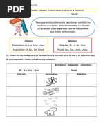 Ficha 4 Concordancia Género y Número | PDF | Adjetivo | Sustantivo