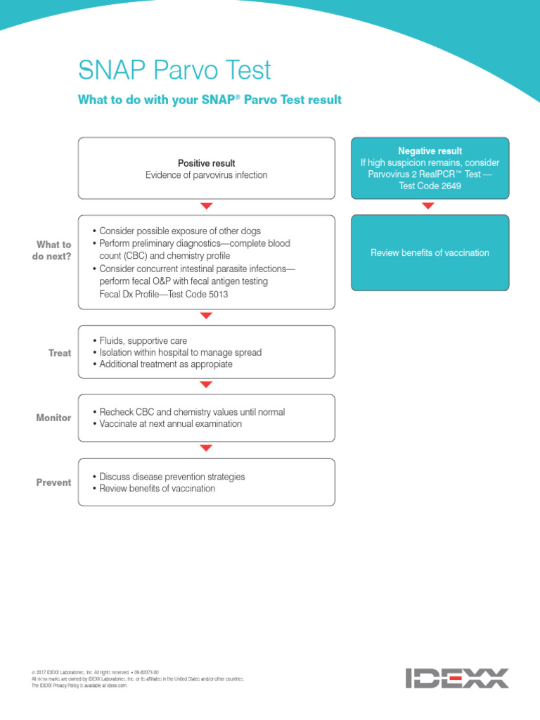 Parvo Next Steps | PDF
