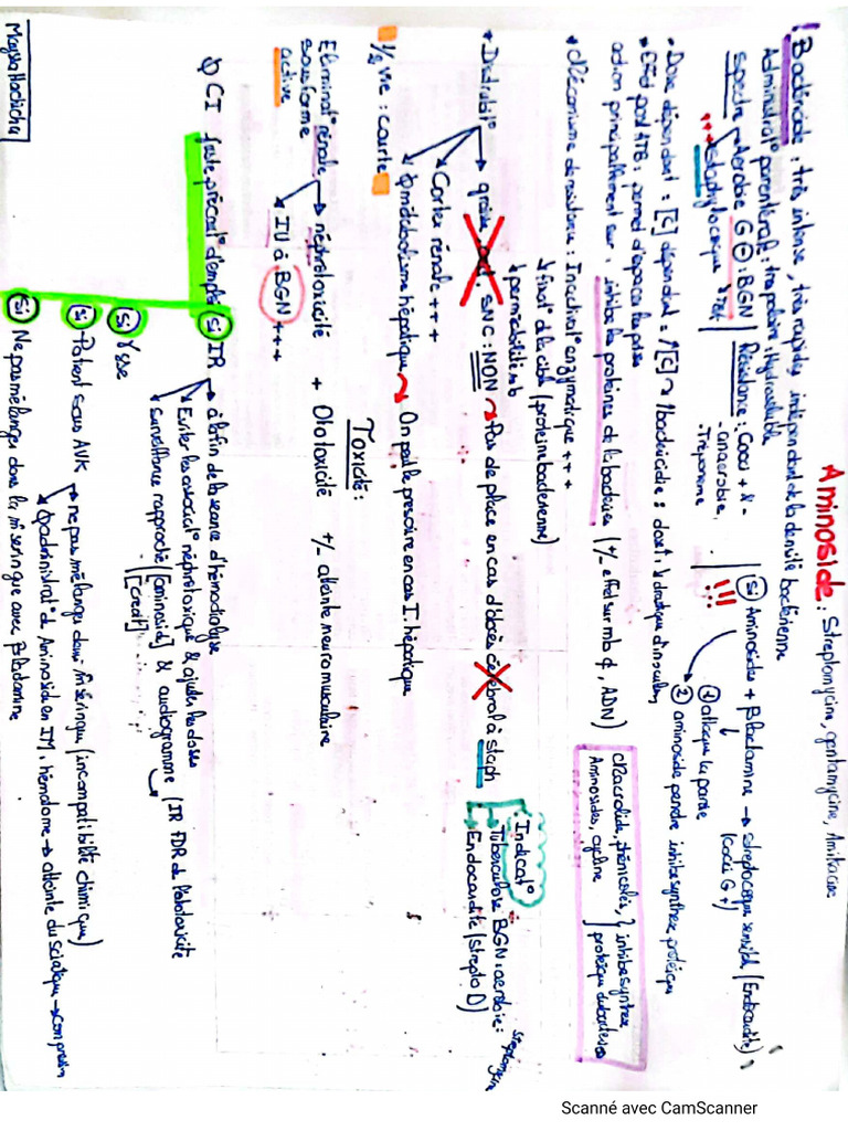 Aminoside pharmaco | PDF