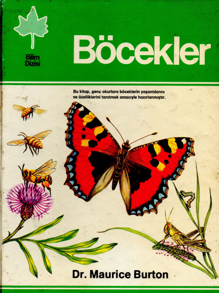 Böcekler | PDF