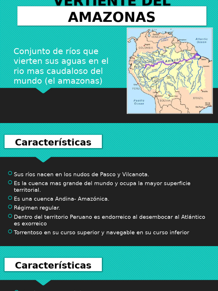 VERTIENTE DEL AMAZONAS-2019 (1) | PDF