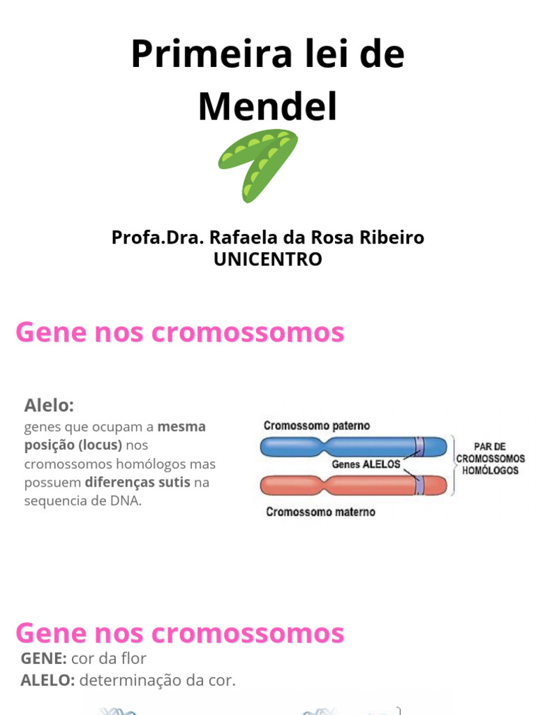 Primeira Lei de Mendel (1) (1)_a46ee4328b8aa538dc2816cd79394c59 | PDF ...
