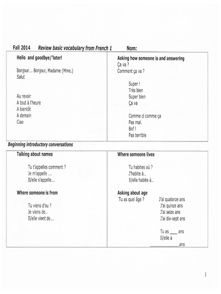 French 1 - Basic Vocabulary and Sounds | PDF