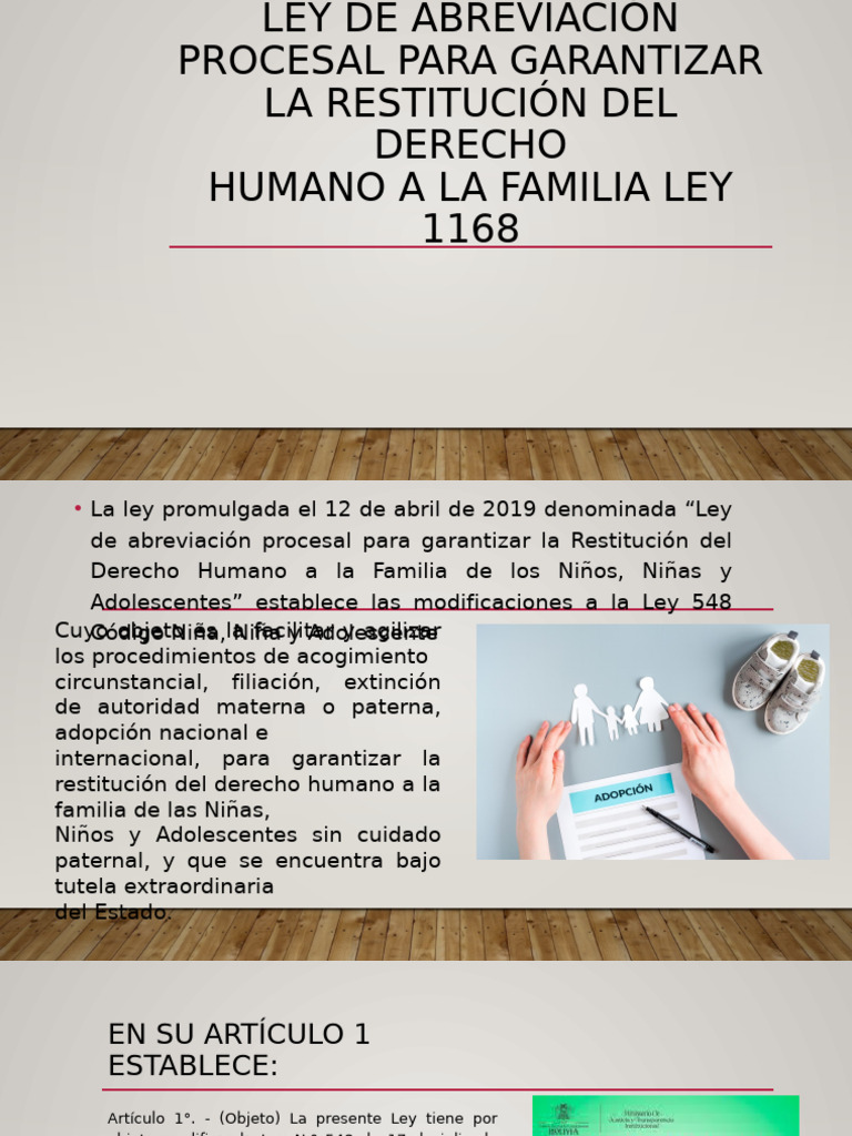 Ley 1168: Abreviación Procesal Familiar | PDF | Adopción | Justicia