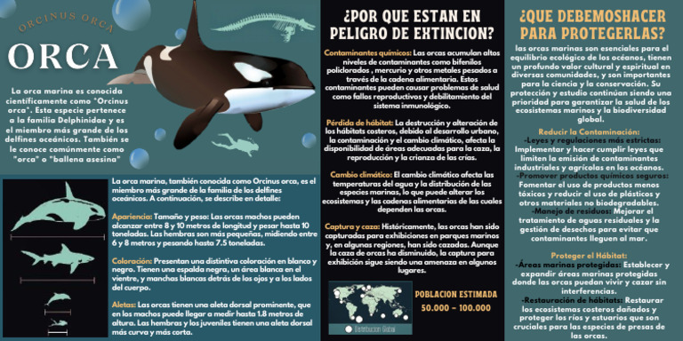 Orca | PDF | Contaminación | Destrucción del habitát