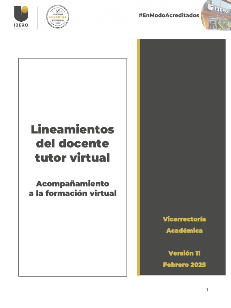 Lineamientos Del Docente Tutor Virtual Version Febrero 2025 | PDF | Maestros | Enseñando