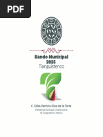 Bando Municipal 2025 | PDF | Gobierno local | México
