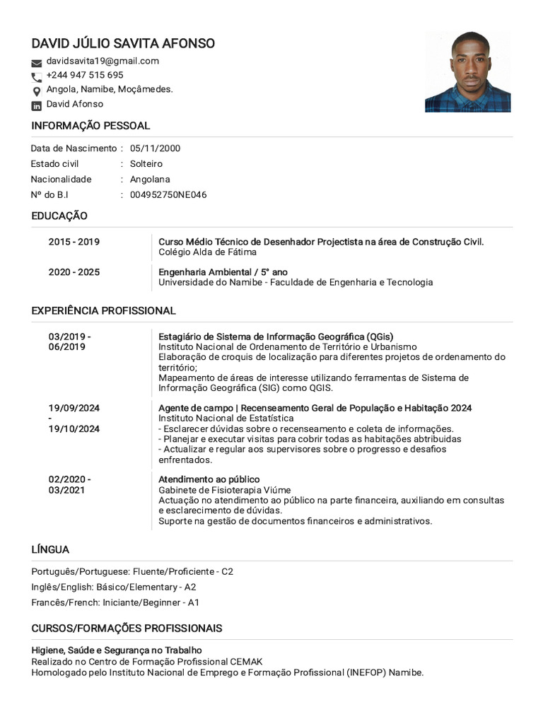 Eng. David - Curriculum Vitae Oficial 2 | PDF | Engenharia | Angola