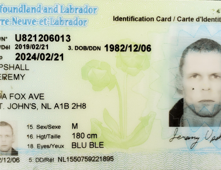 Drivers License Newfoundland Canada | PDF