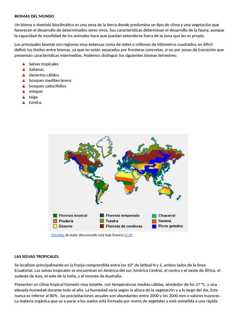 Biomas Del Mundo | PDF | Selva | Clima templado