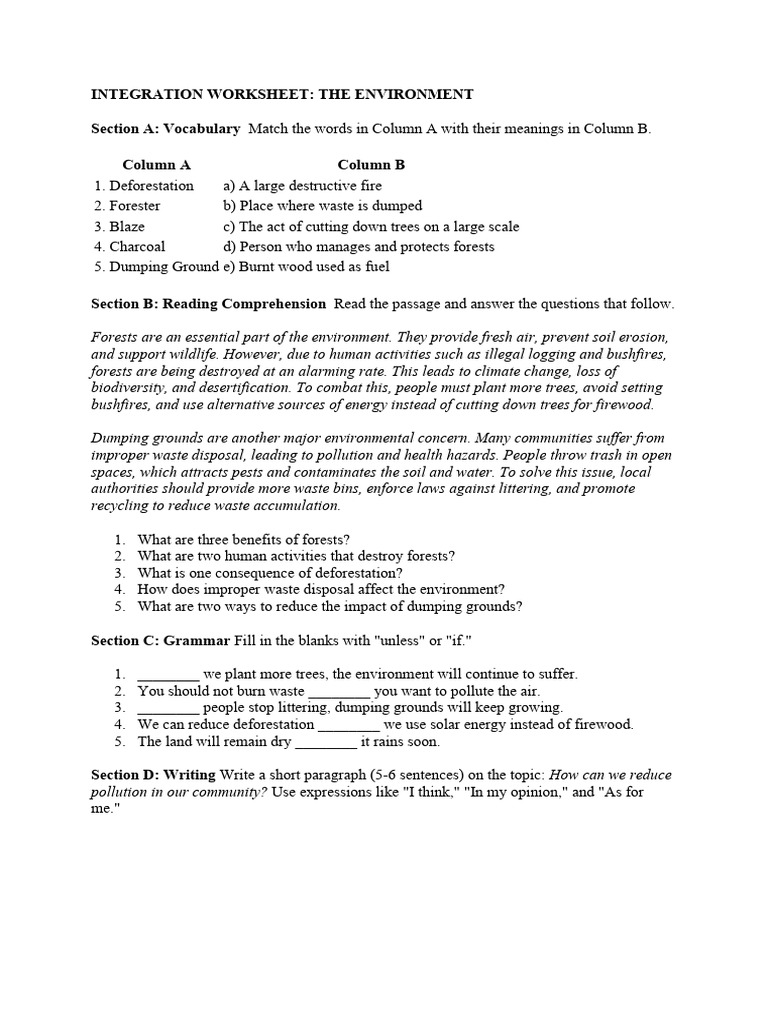 Integration Worksheet 2nde Environment | PDF
