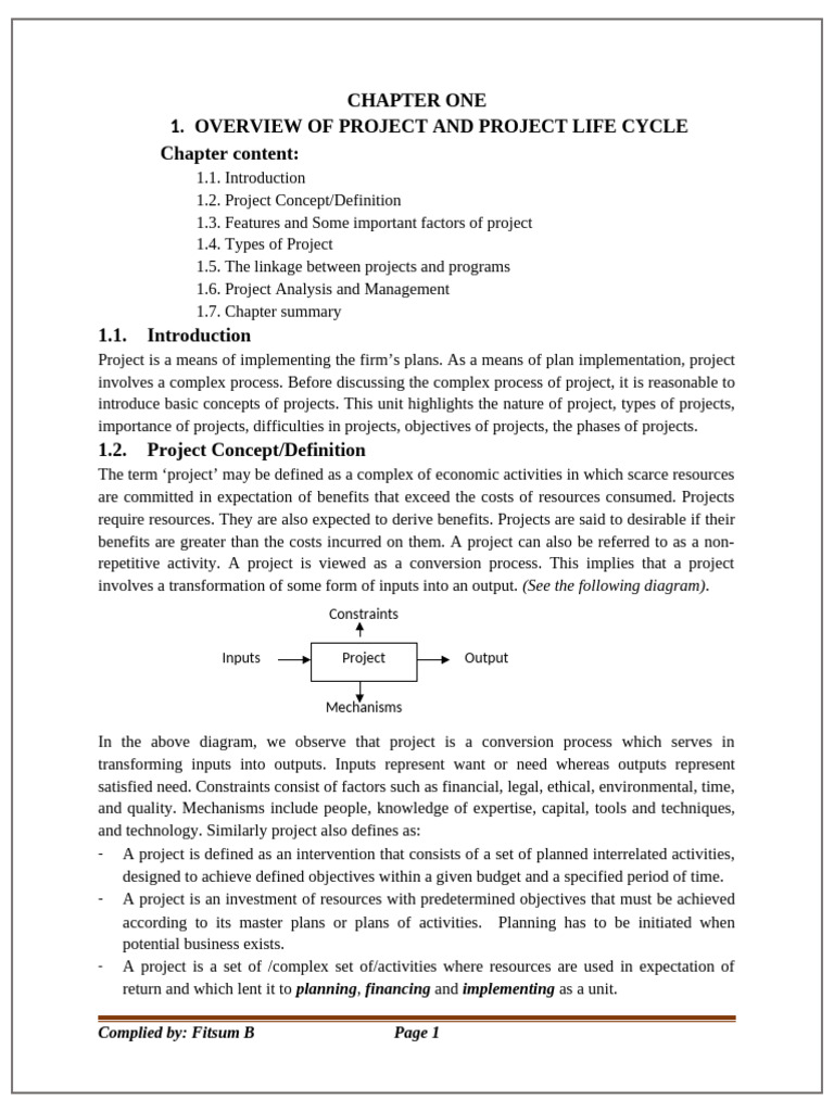 Project Overview and Lifecycle Insights | PDF | Project Management ...