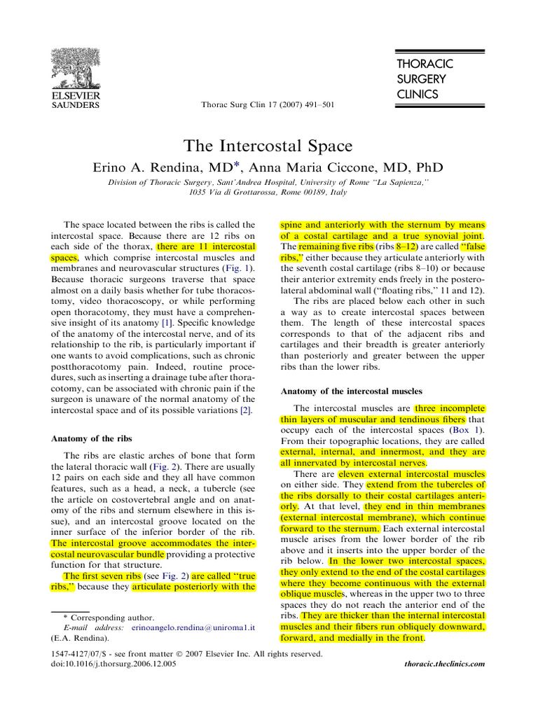 Anatomy of the Intercostal Space | PDF | Thorax | Thorax (Human Anatomy)