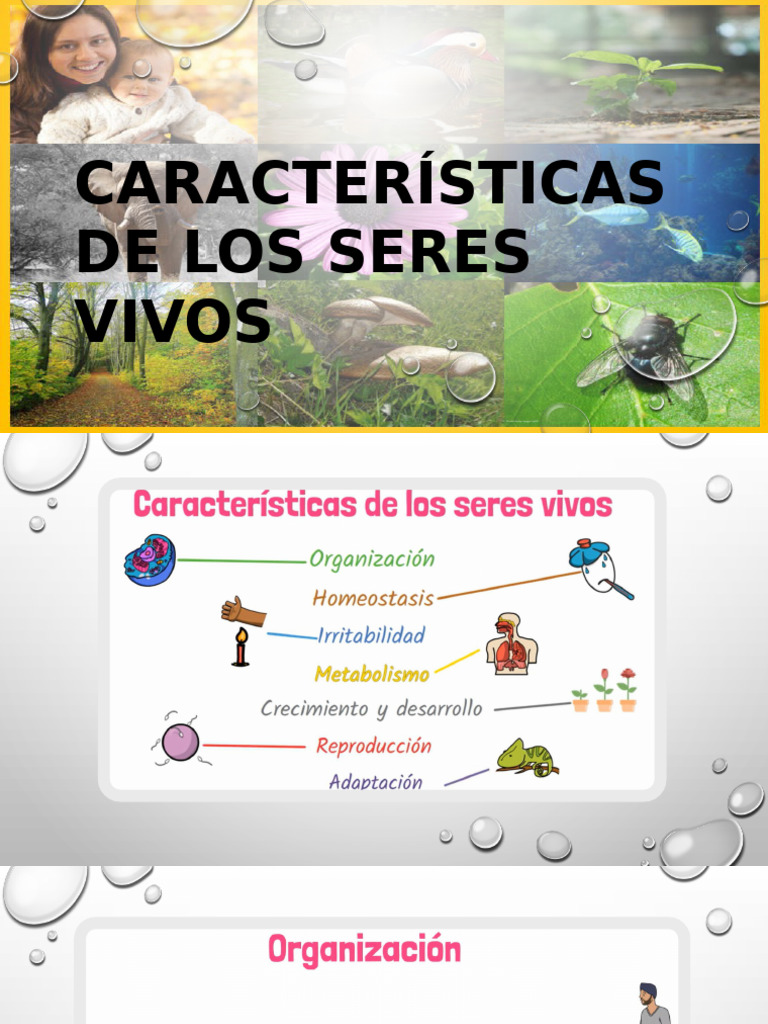 Características Esenciales de los Seres Vivos | PDF | Organismos ...