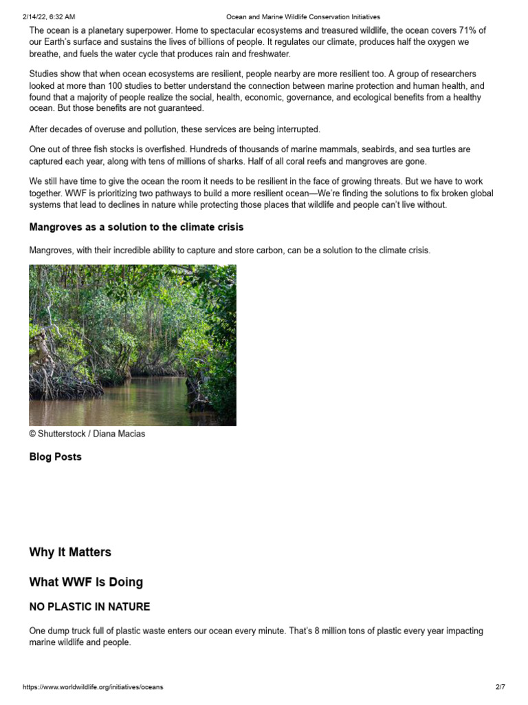 Ocean and Marine Wildlife Conservation Initiatives For Annotating | PDF | Conservation Biology ...