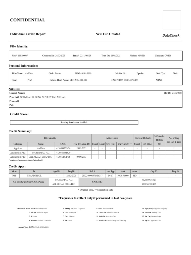 4120548756426 | PDF | Personal Finance | Credit