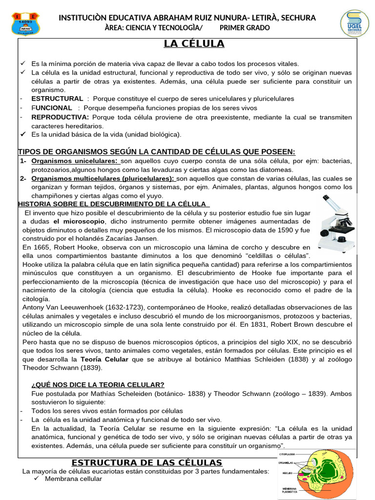 FICHA LA CÉLULA, ESTRUCTURA | PDF | Citoplasma | Biología Celular)