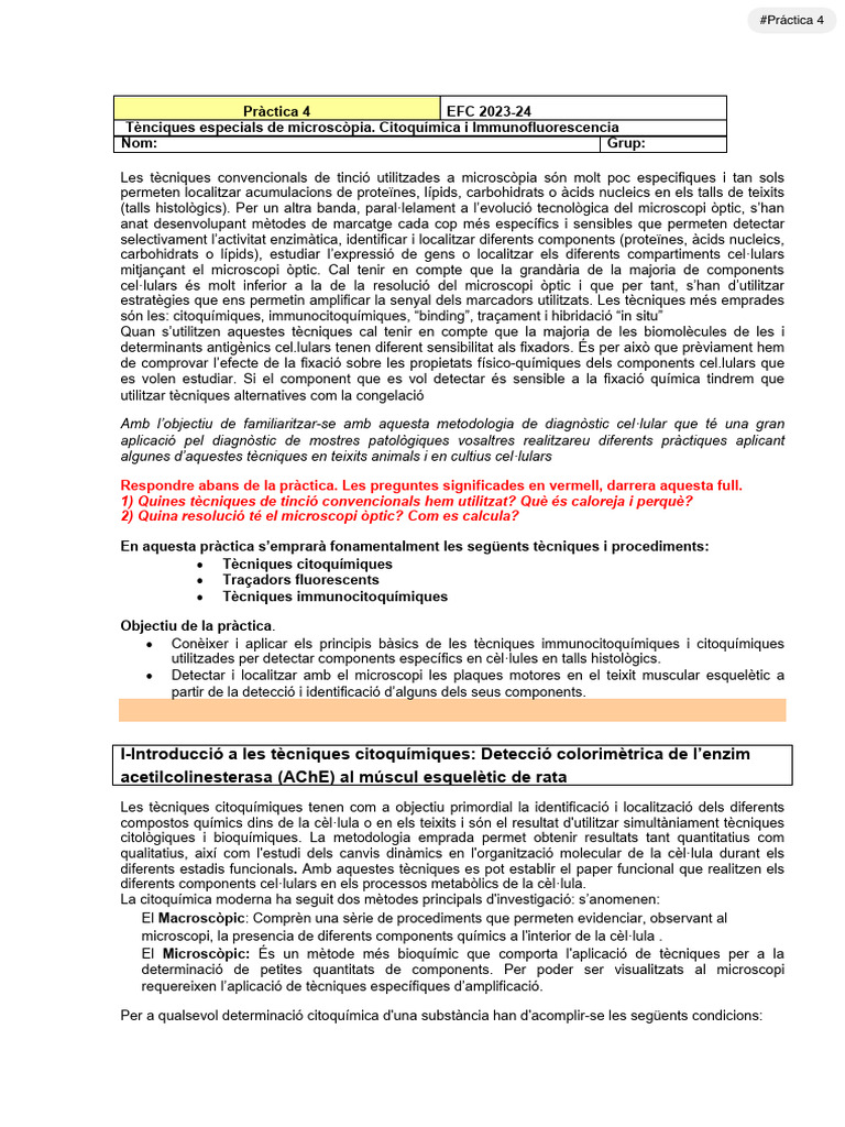 Prácticas Efc | PDF