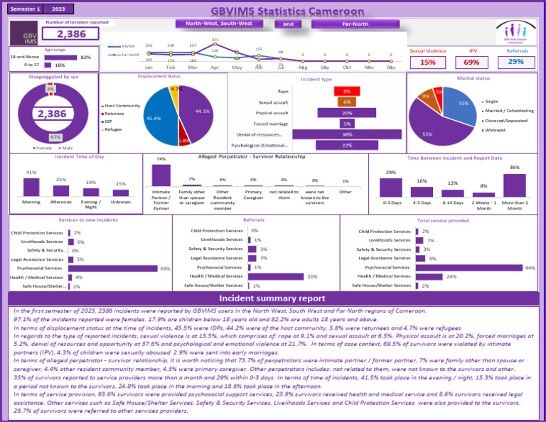GBV Incident Report: Cameroon 2023 | PDF | Domestic Violence | Social ...