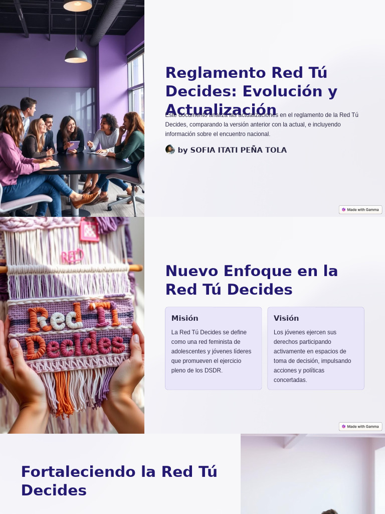 Reglamento Red | PDF