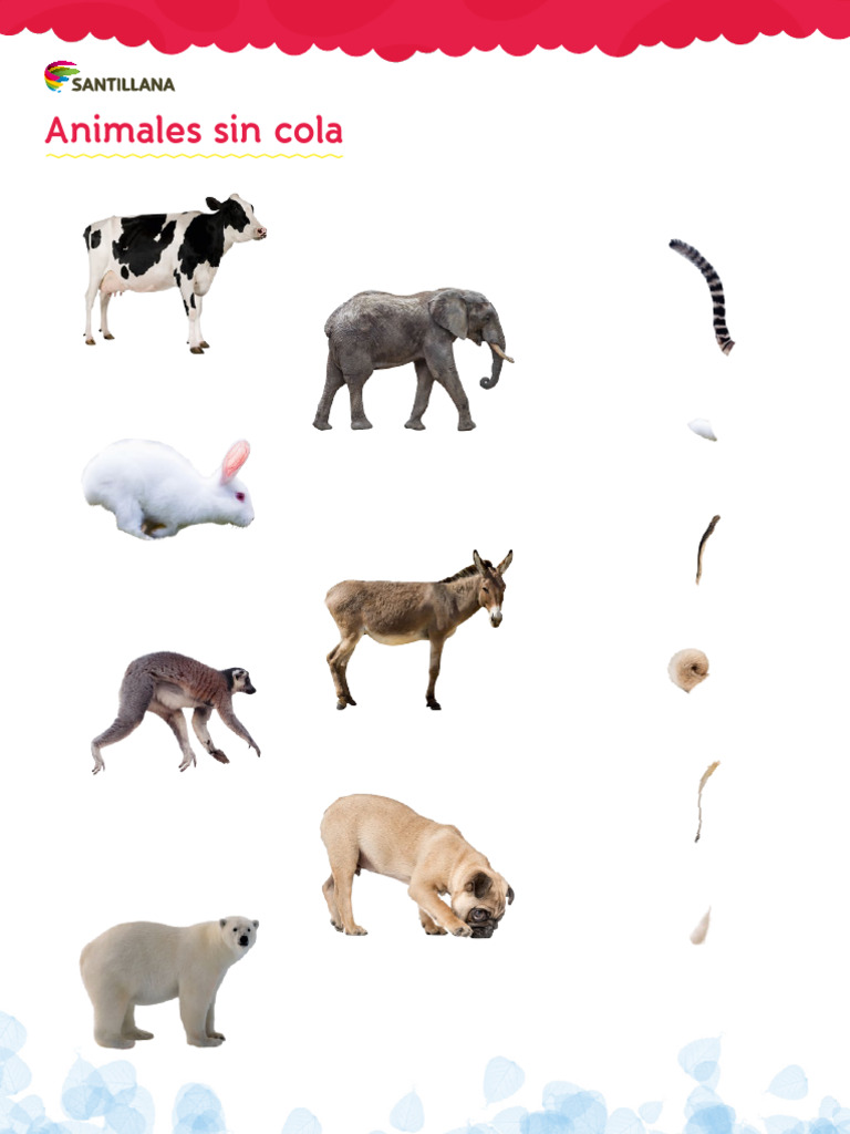 Actividad Libro Ficha 5 | PDF