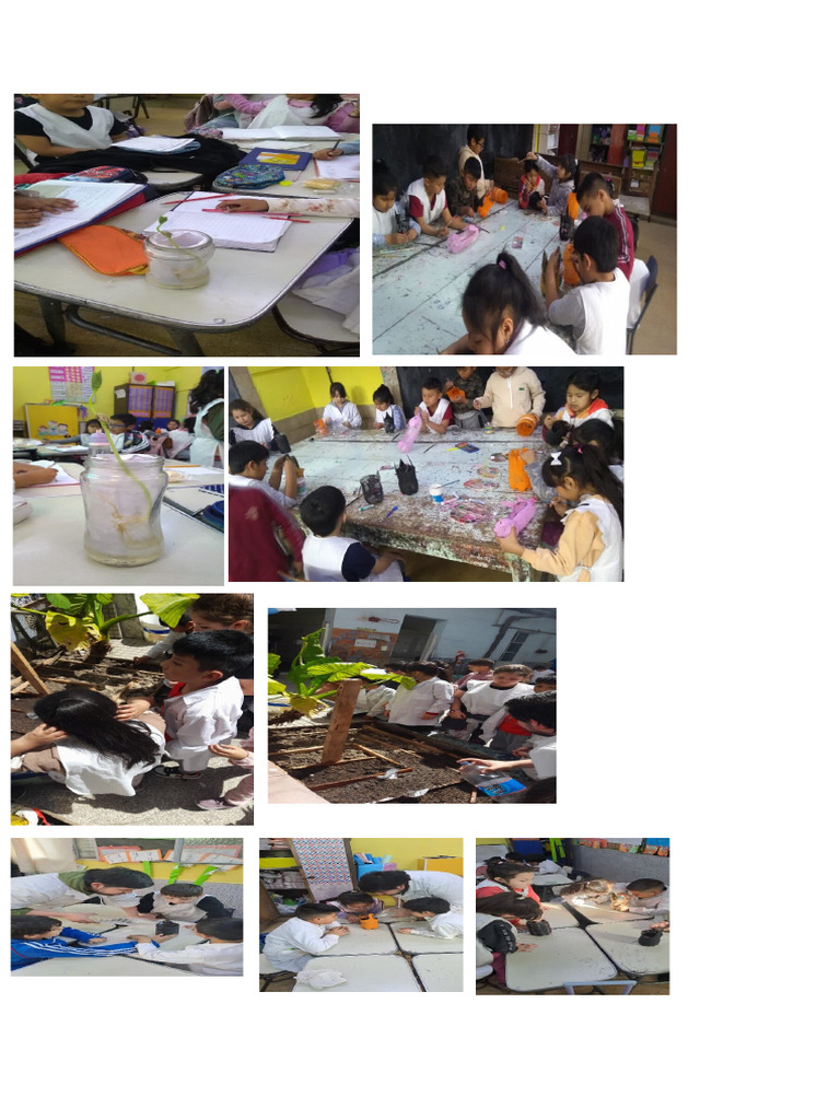 fotos para la revista 2° | PDF