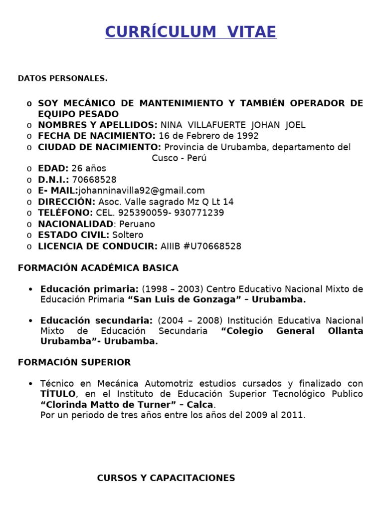 Currículum Vitae Johan | PDF