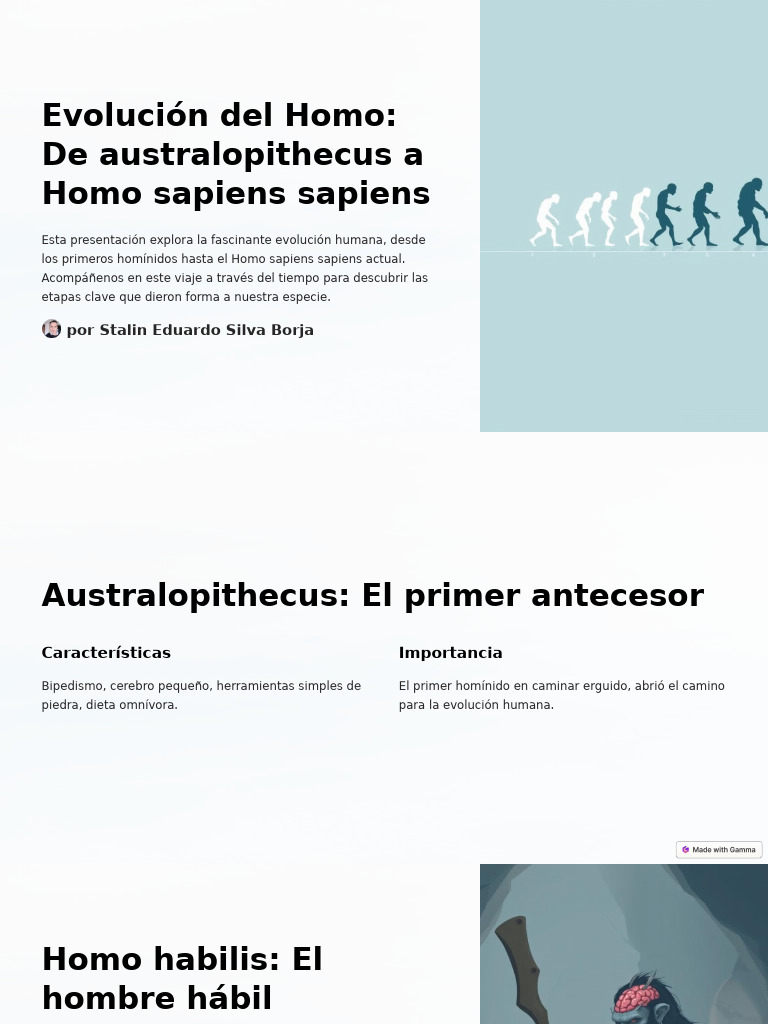 Evolución del Homo: De Australopithecus a Sapiens | PDF | Homo | Evolución humana