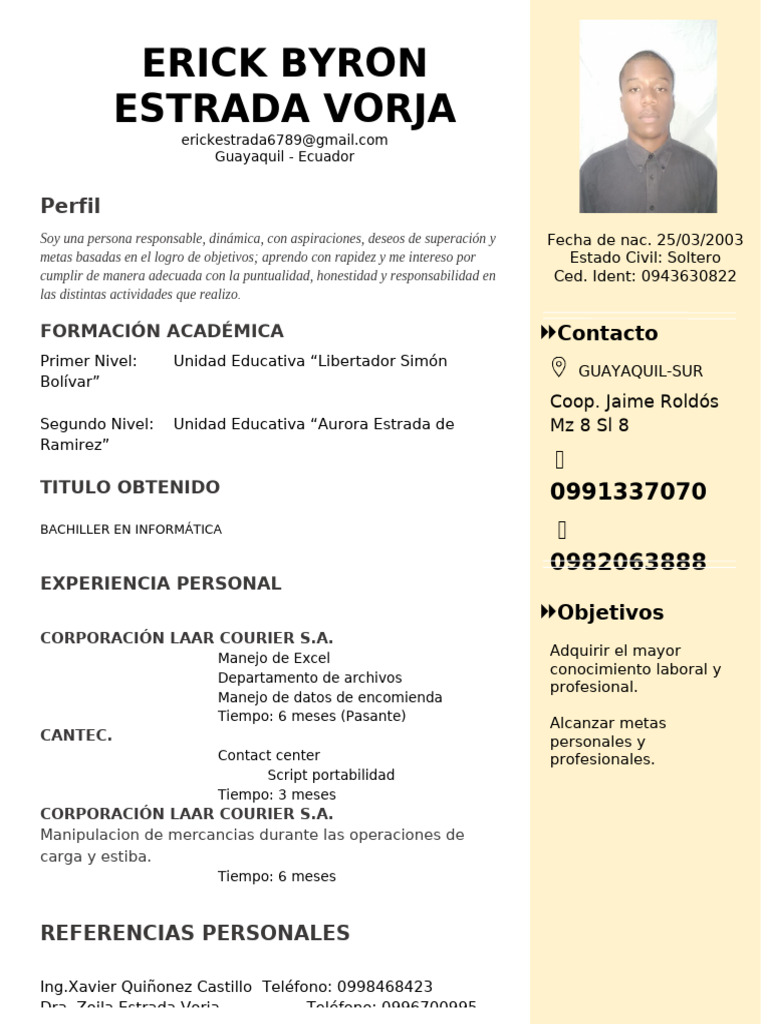 Curriculo Erick Estrada | PDF