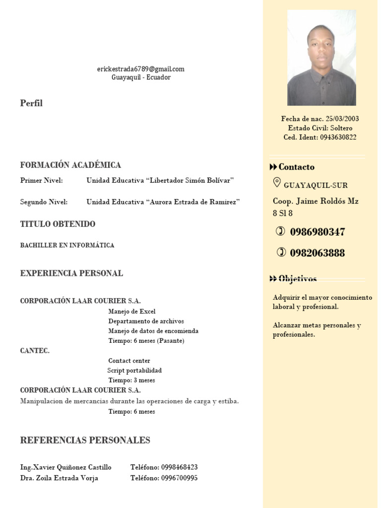 Curriculo Erick Estrada | PDF