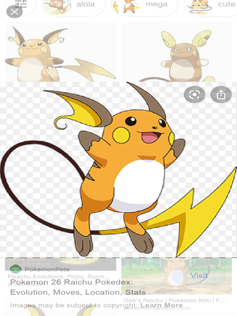 Raichu: Evolution, Moves & Stats Guide | PDF