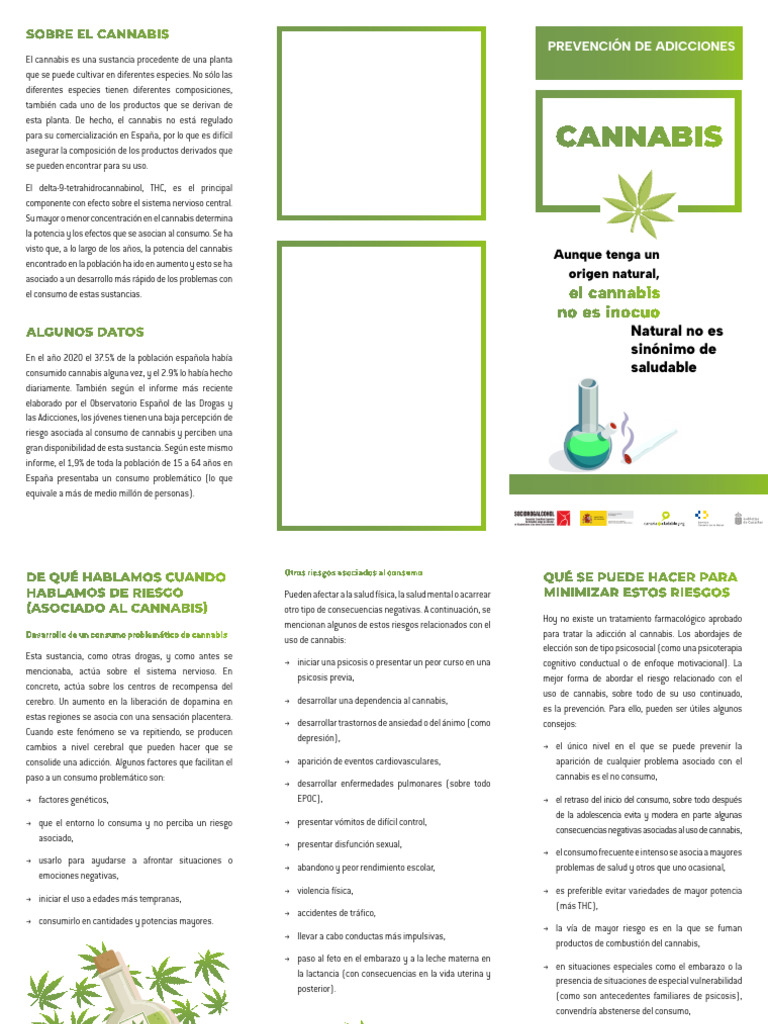 cannabis-triptico-web | PDF | Cannabis (Droga) | Salud mental