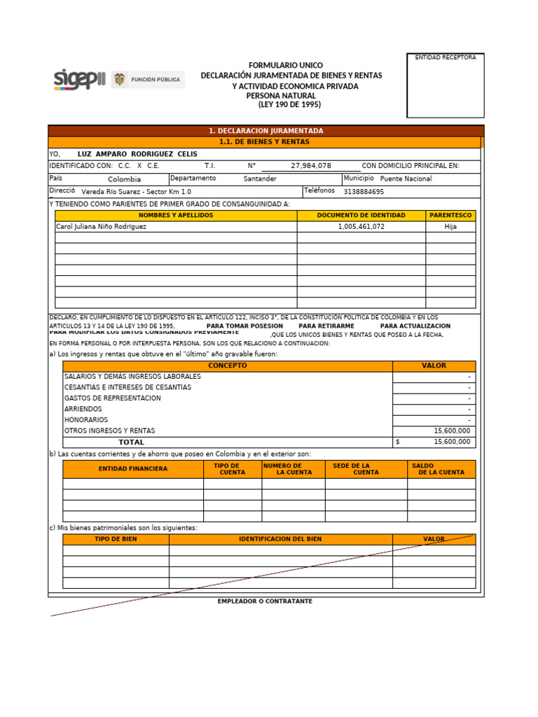 Formato Declaración Bienes y Rentas SIGEP | PDF | Economias