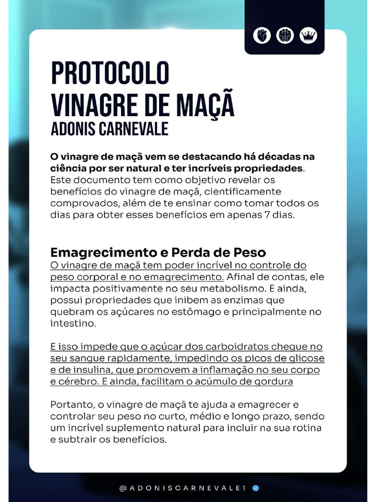 ADONIS CARNEVALE - EBOOK - Protocolo Vinagre | PDF