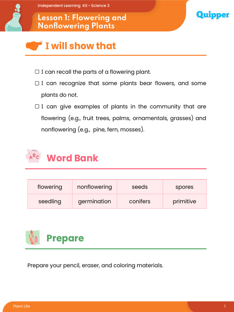 s3 Flowering and Non-Flowering Plants | PDF | Plants | Flowers