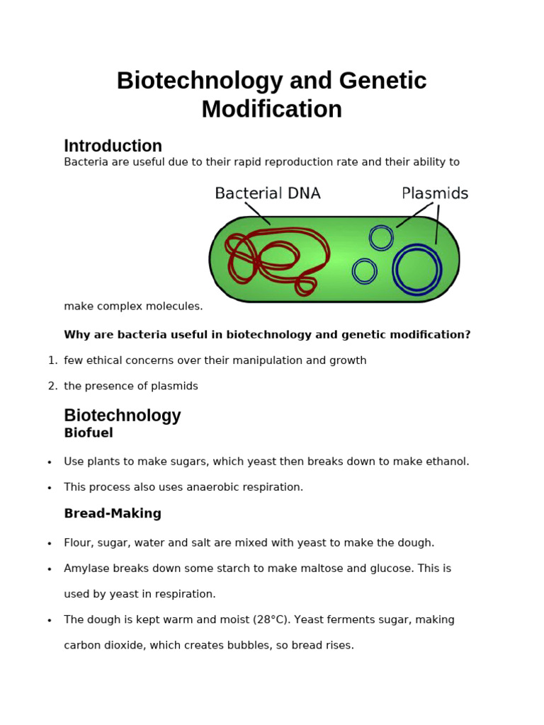 Biotechnology and Genetic Modification | PDF | Yeast | Plasmid